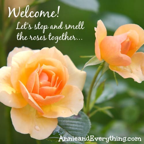 welcome roses – Its Not That Hard to Homeschool