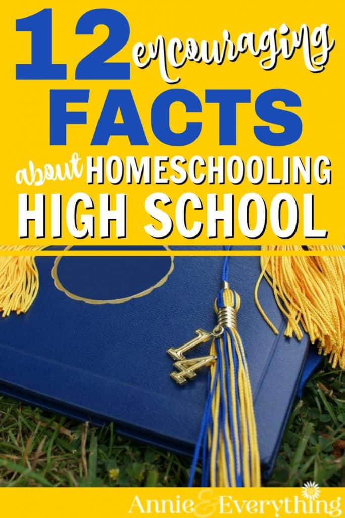 12 Reassuring Facts You Should Know About Homeschooling High School ...