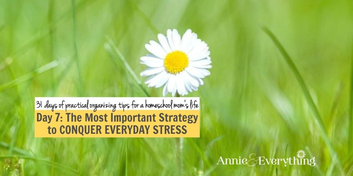 Day 7: The Most Important Strategy to Conquer Everyday Stress - Its Not ...