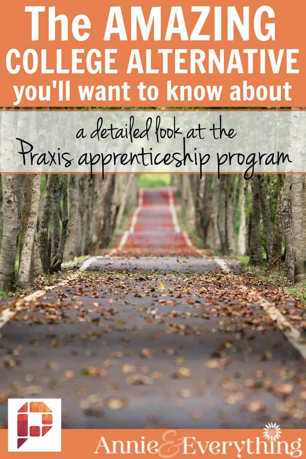 The Amazing College Alternative You’ll Want to Know About — a detailed ...