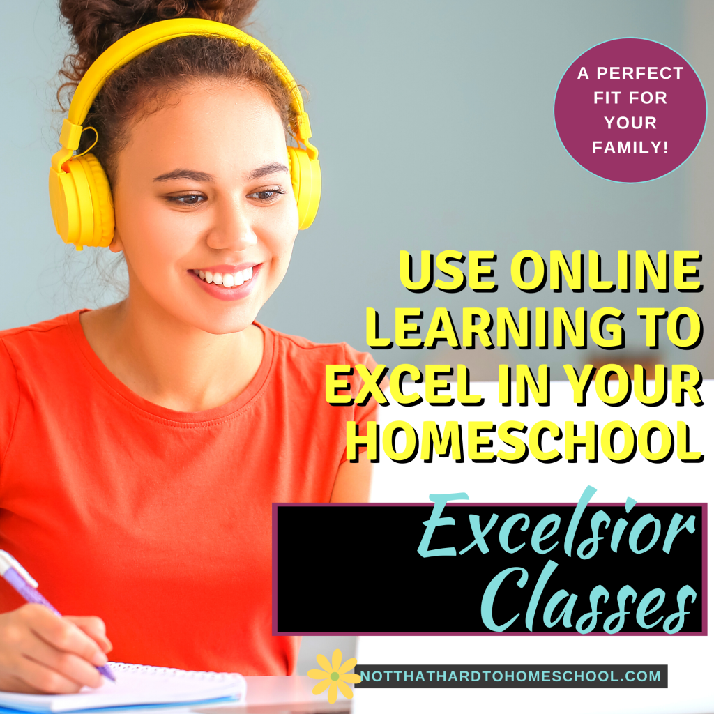 Excel in Homeschooling with Excelsior Classes: A Perfect Fit for Your ...