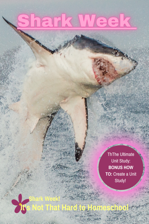 Shark week: the Ultimate Unit Study – Its Not That Hard to Homeschool