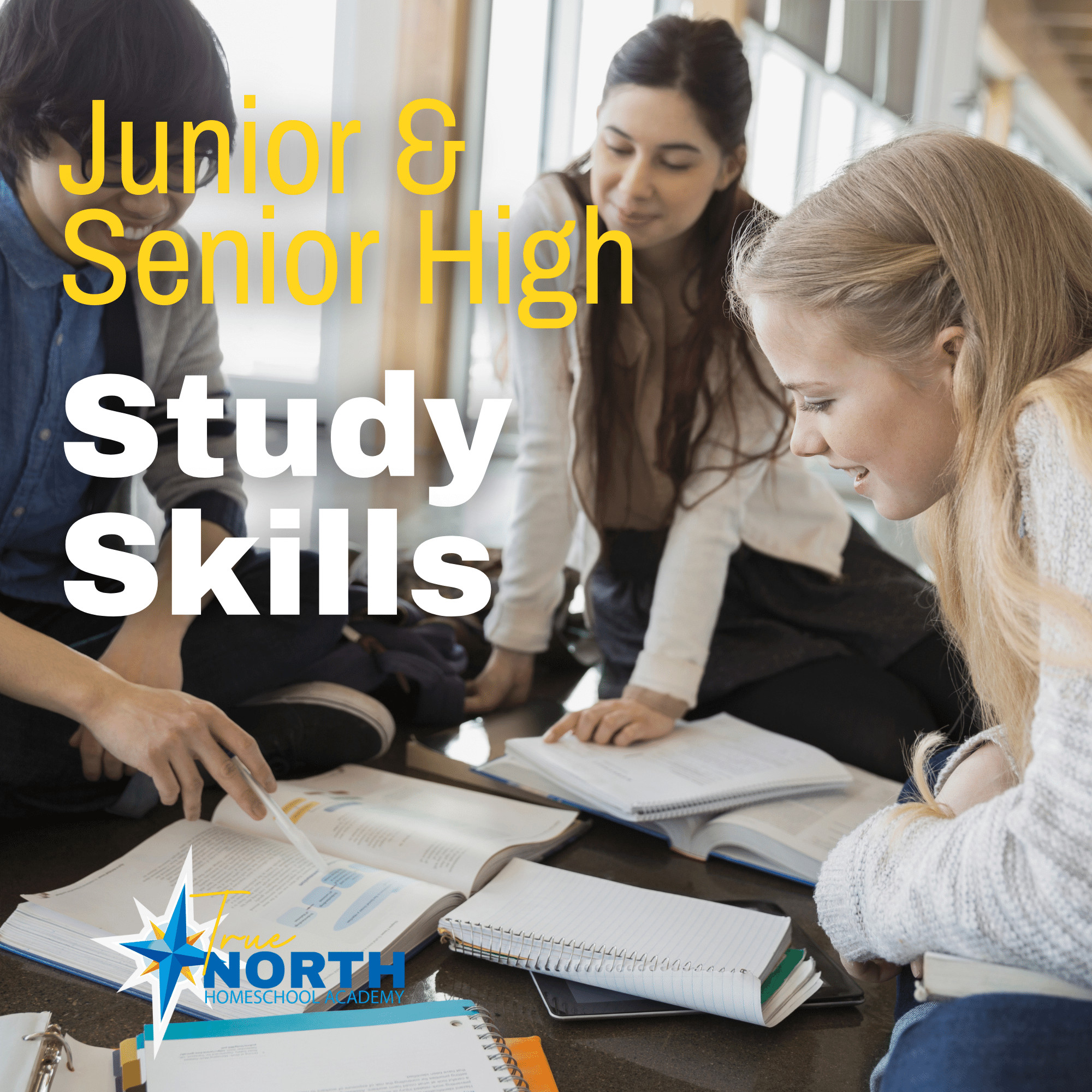 Study Skills: The Shark’s Guide to Dominating the Academic Ocean! – Its ...